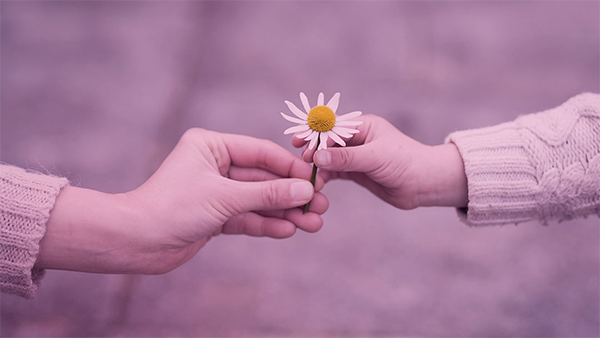 Ser generoso - Jornal Quero Viver